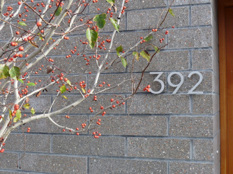 Projects – Sego Design